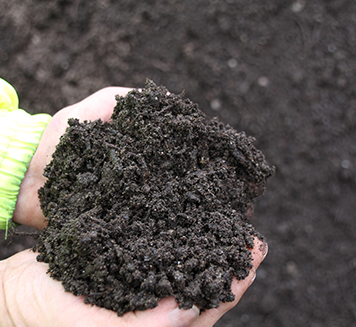 Skagit Soils Inc | Recycling Green and Organic Waste Solutions