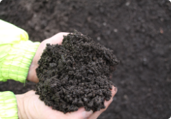 Skagit Soils Inc | Recycling Green and Organic Waste Solutions