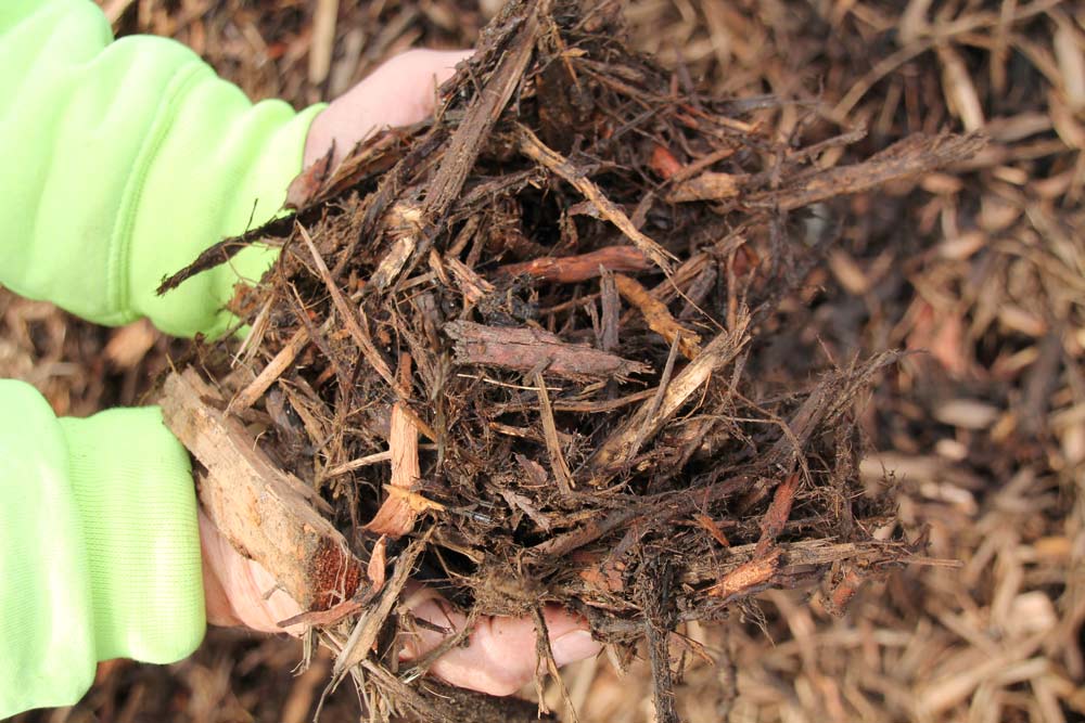 Skagit Soils Inc | Recycling Green and Organic Waste Solutions